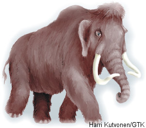Suomen mammutit - historiaa luulöytöjen kautta | Geologia.fi